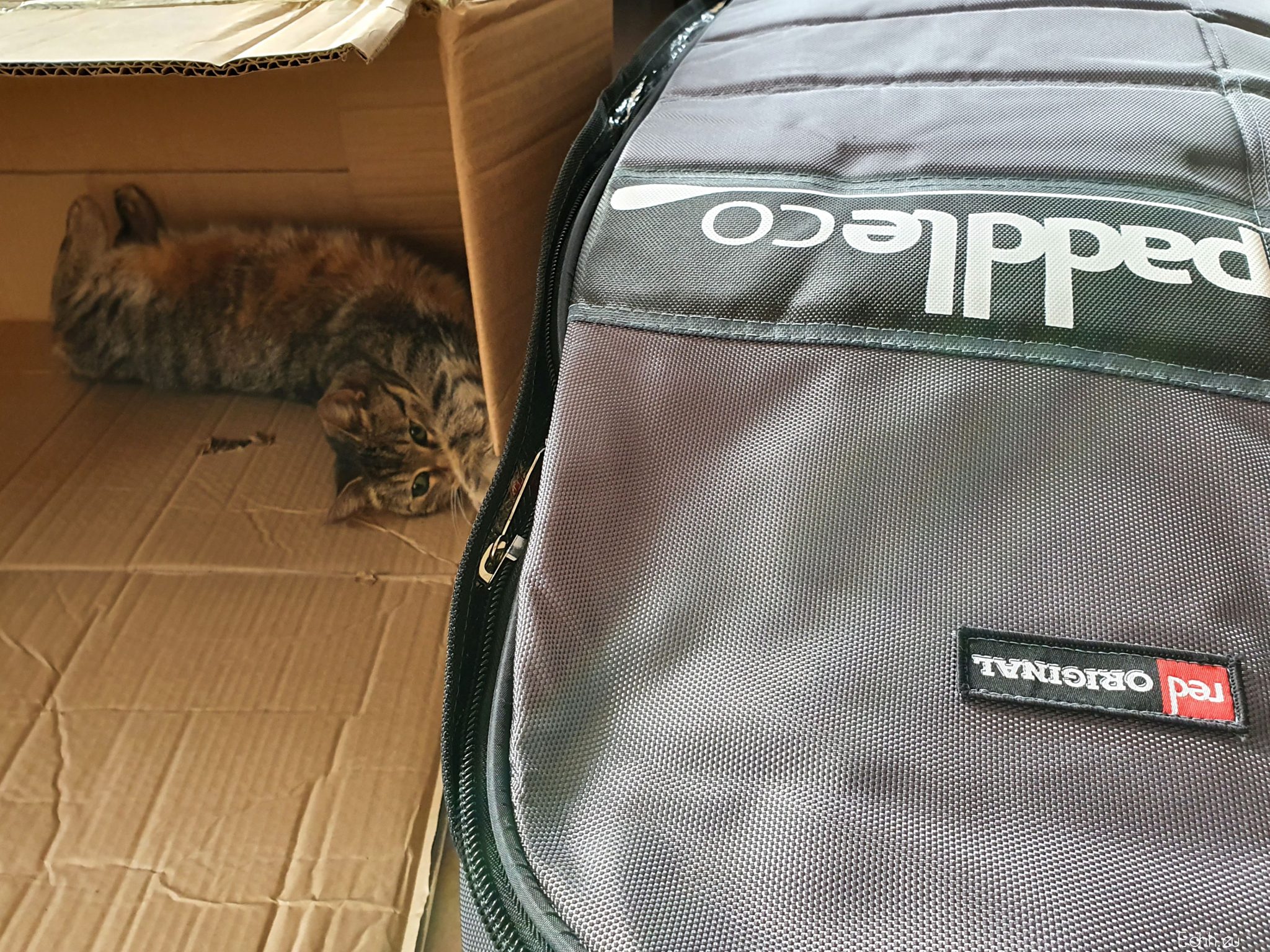 Spring 2020 - ENGINEER on HIGH HEELS